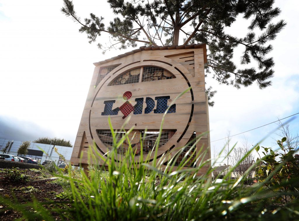 Lidl Celebrates World Bee Day with Biodiversity Roll-out ...