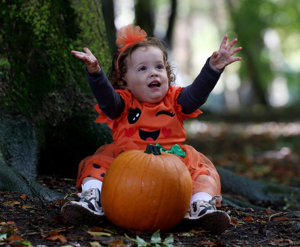 Halloween Fun – Creepy costumes and deadly decorations at Lidl ...